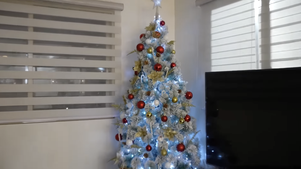 Feel the Spirit of Christmas at Team Payaman’s Congpound Houses ...